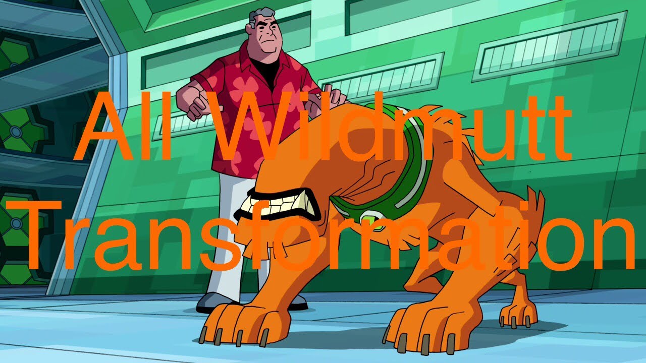 All Wildmutt Transformation (2019) - YouTube