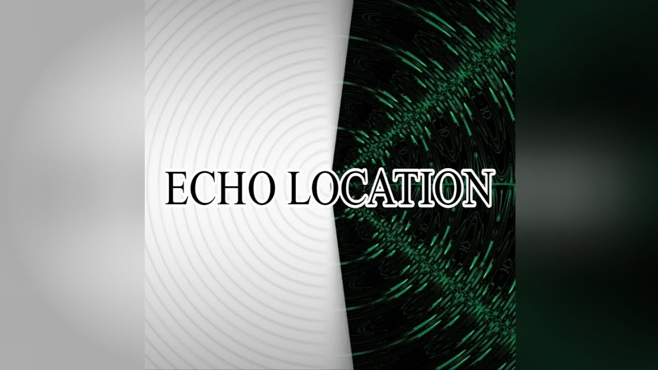 Echo Location - INSTRUMENTAL - YouTube