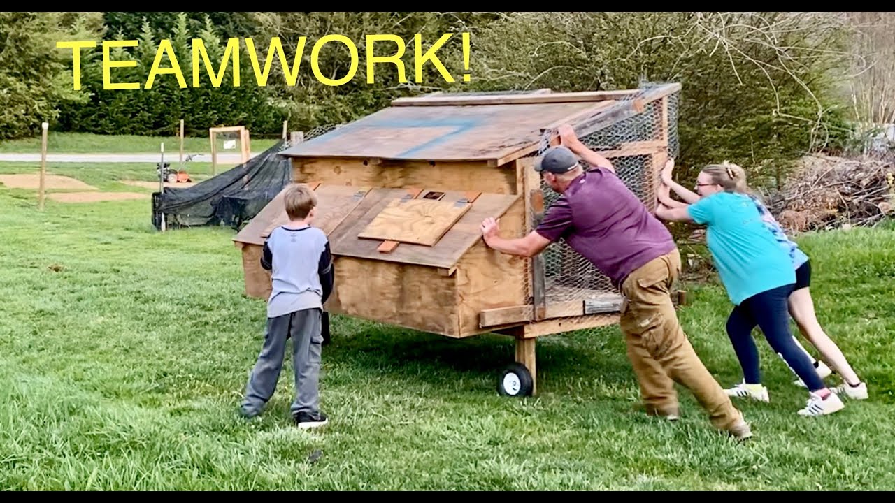 Moving the chicken coup! GARDEN LIFE ~ VLOG 13 - YouTube