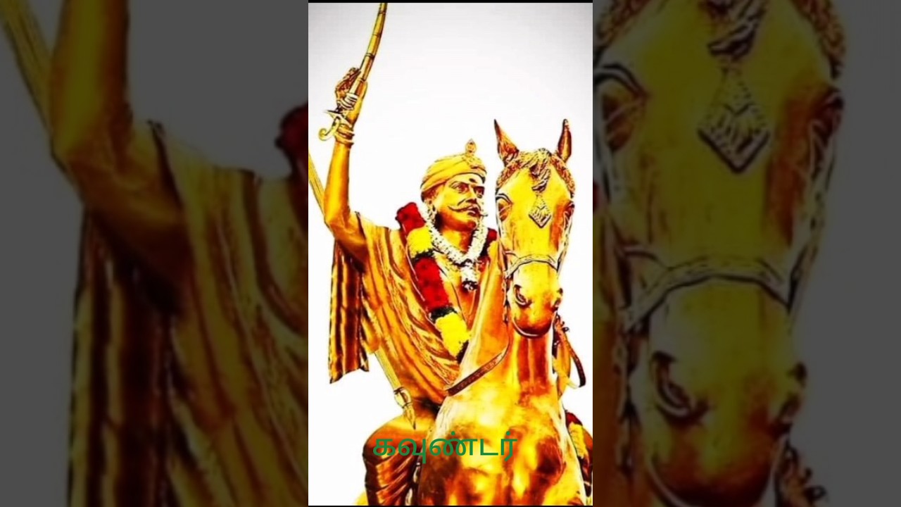 kongu vellala nattu gounder 💚 ️ mass status in Tamil 🇨🇬🇨🇬🇨🇬🇨🇬🇨🇬 - YouTube