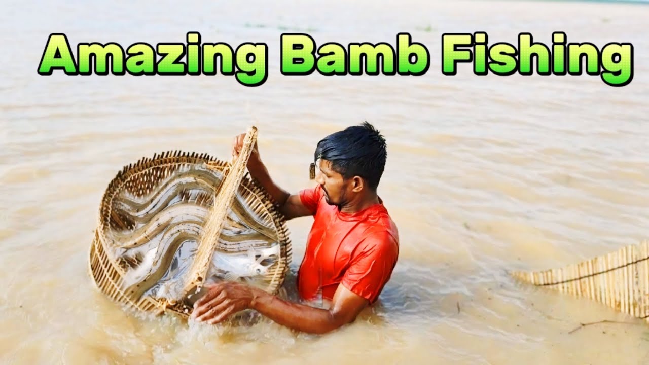 Amazing Bamb Fishing ।। Baam Fishing techniques।। baam fishing tips and ...