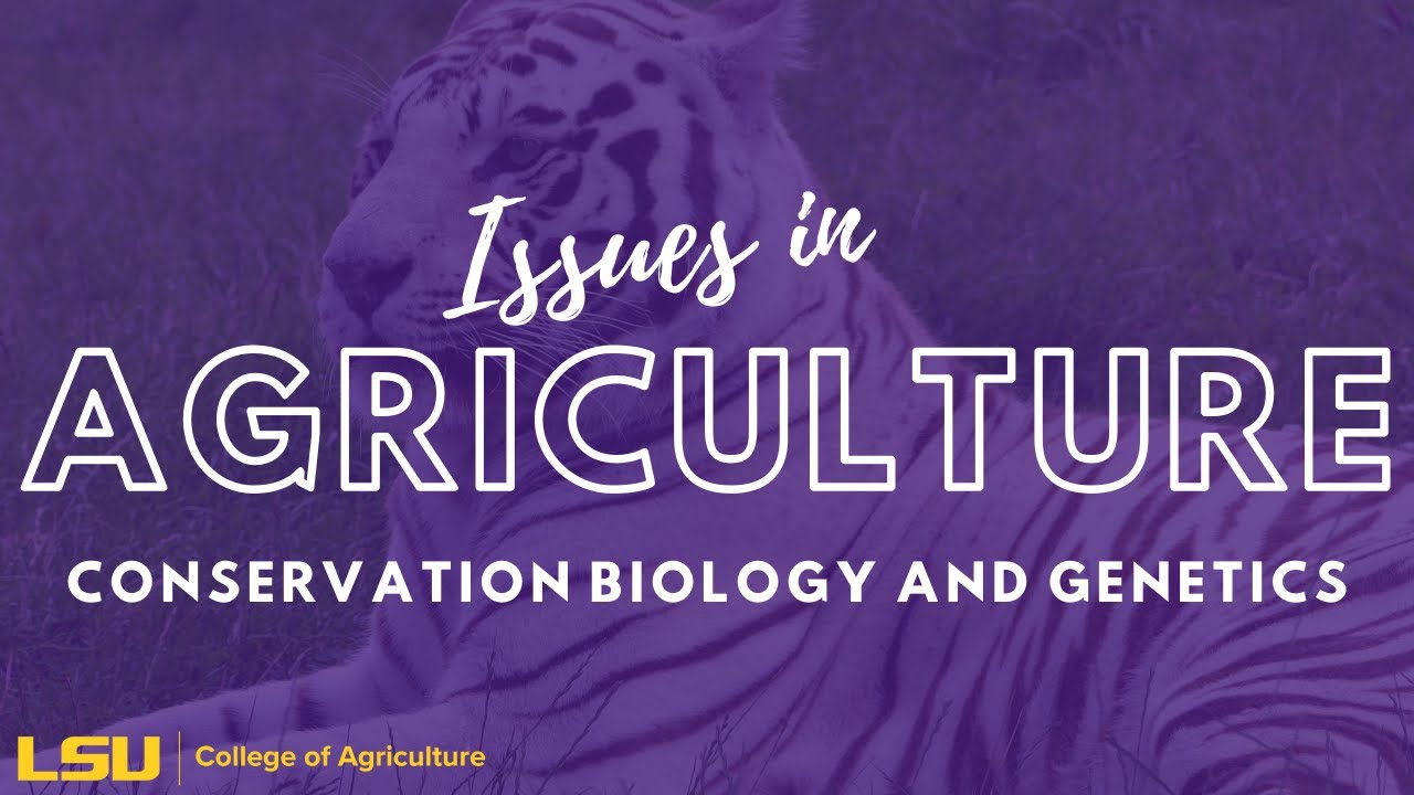Conservation Biology and Conservation Genetics | Issues in Ag - YouTube