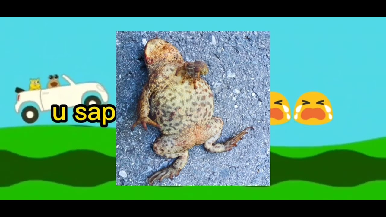 niño canta sapu muerto con fotos - YouTube