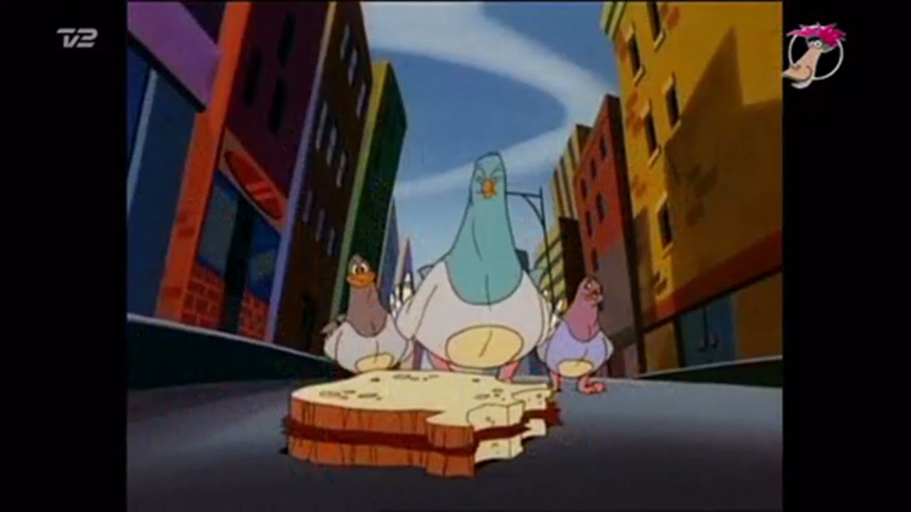 Animaniacs - Goodfeathers intro (Danish) - YouTube