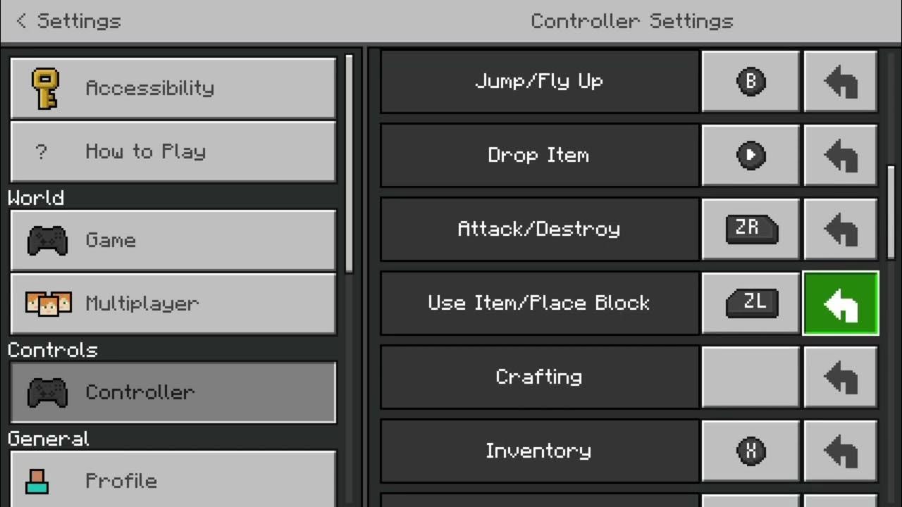 Nintendo Switch Settings and Controls! (Minecraft) - YouTube