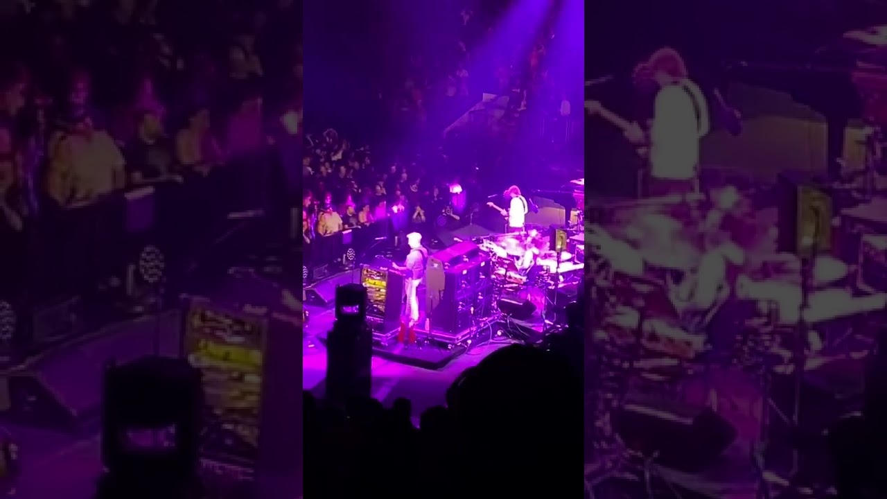 Phish - Backwards Down the Number Line, 4-22-22, YEMSG - YouTube