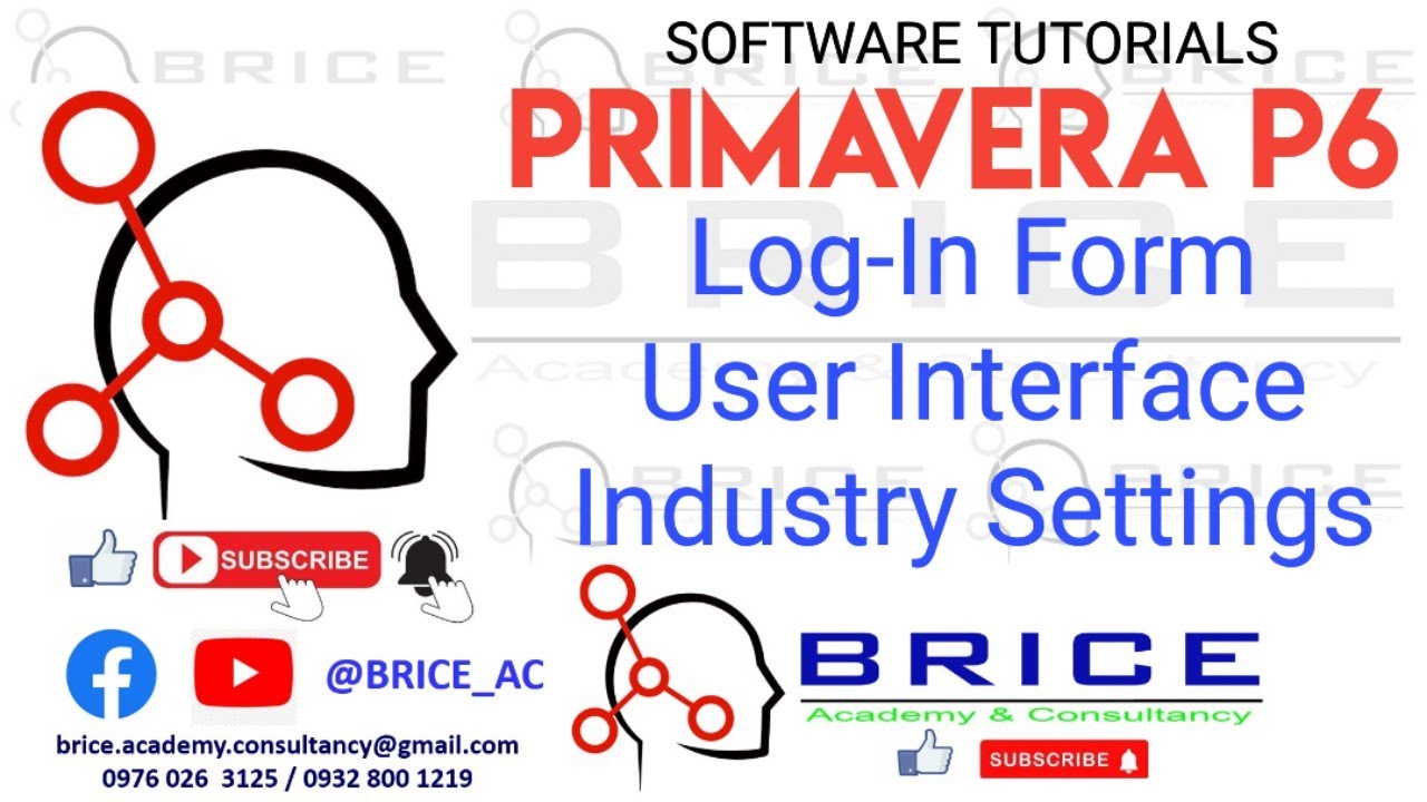 PRIMAVERA P6 USER INTERFACE: P6 Lesson 2.2 - YouTube