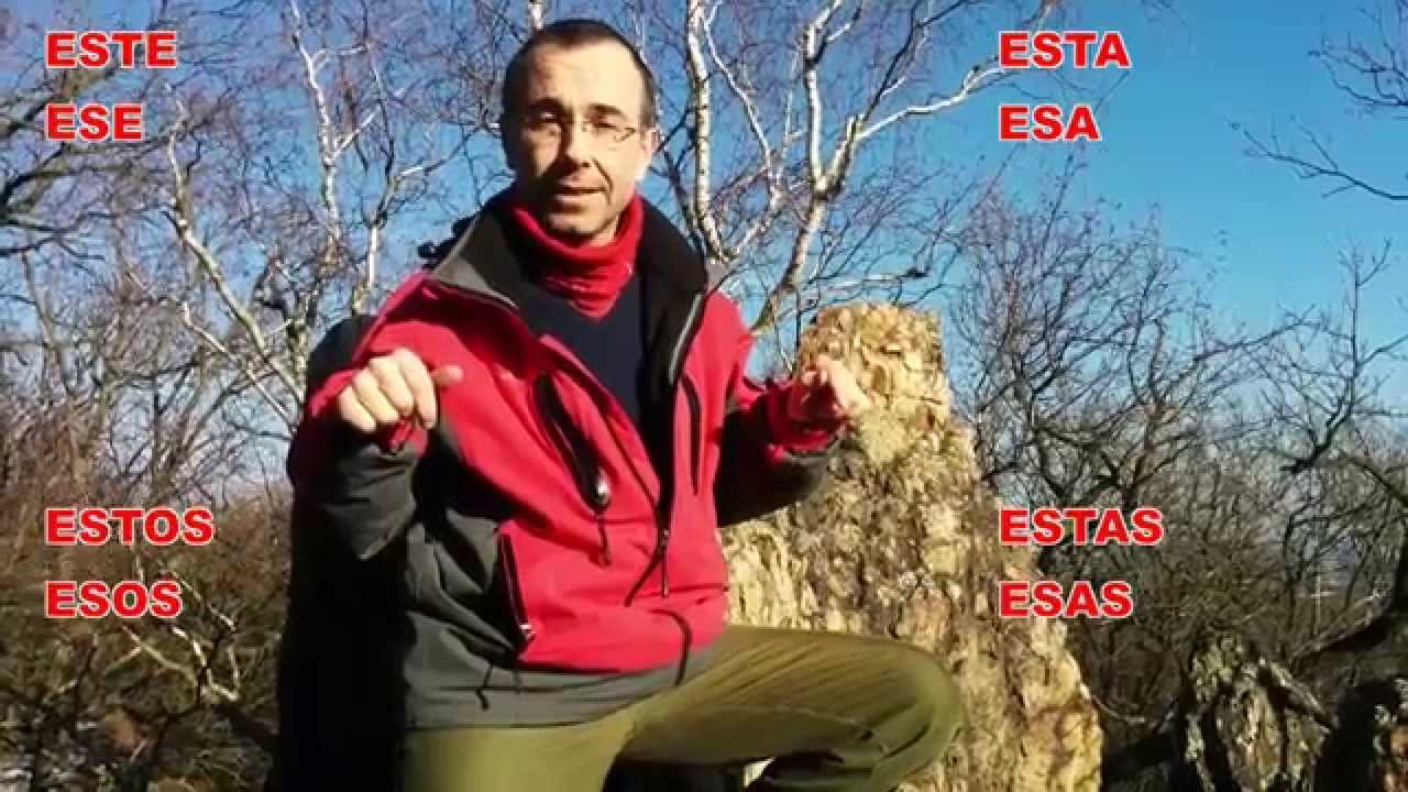 Estudia español. Este, ese, aquel. Los demostrativos sin problemas en ...