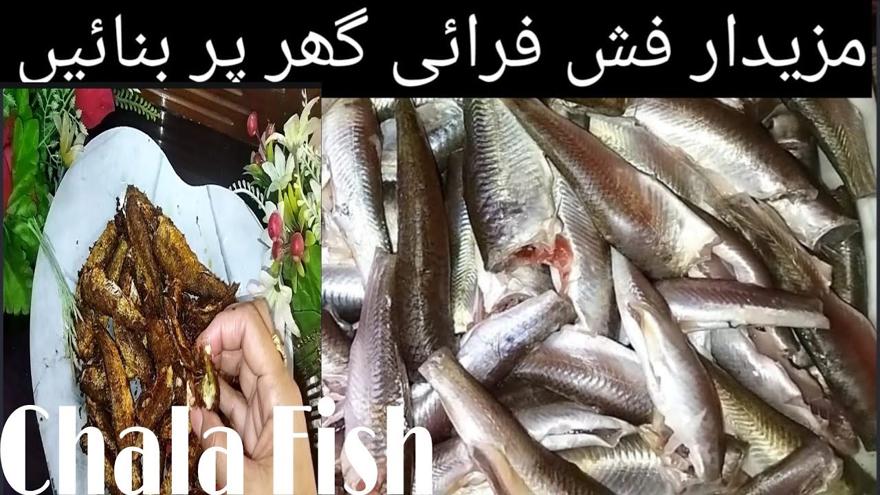 Finger Fish Fry Recipe | How To Cook Delicious Chala Fish | Chala Fish ...