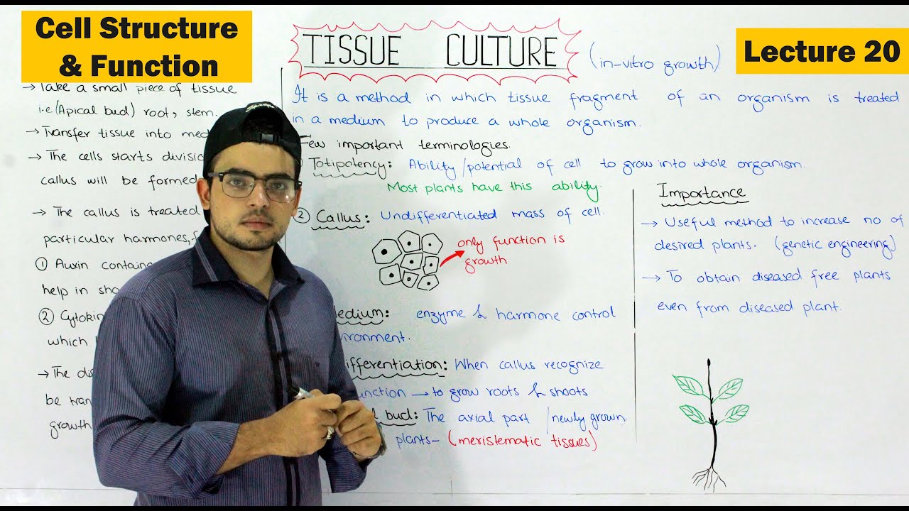 Tissue culture (in vitro Growth) | Basic technique of Biology | Video ...