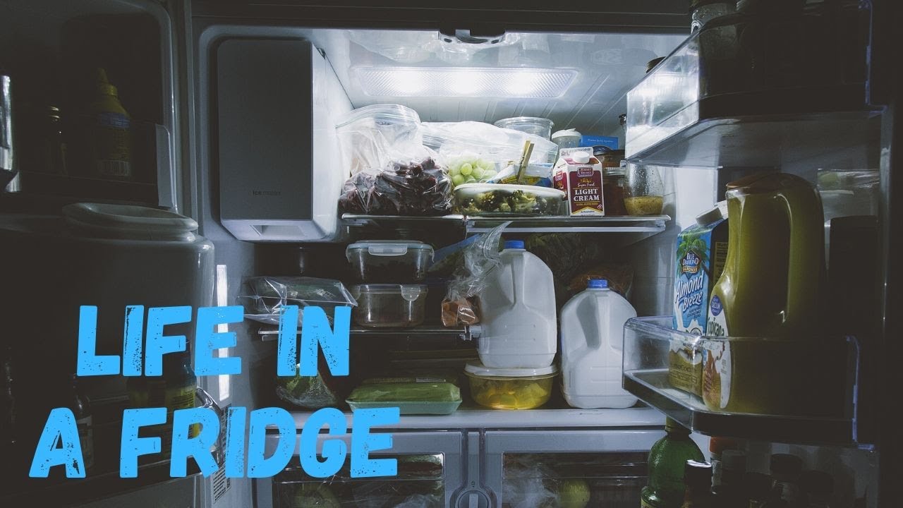 Life In A Fridge | 360 VR | Perspective 360 - YouTube