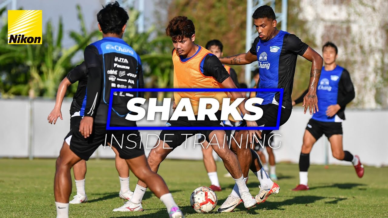🦈 SHARKS Inside Training : 8 v 8 training! - YouTube