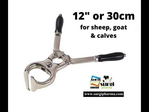 Burdizzo Castrator for Castration of animals || Bloodless Castration for your farm animals