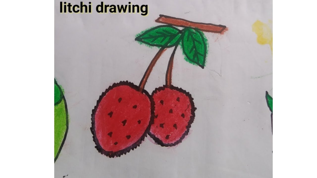 How to draw litchi/fruits drawing @artwithprava - YouTube