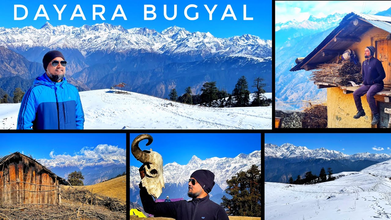 Dayara Bugyal Winter Trek Jan'2023 - Complete Guide l Easy & Budget ...