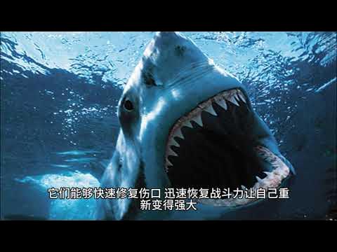 生命力逆天！揭秘全球十大顽强生物之最！头断了也能活！尾巴掉了还能重生！绝地分裂术大师，身体分段也能再生！第一名你绝对想象不到 竟然在我们的身边 ...