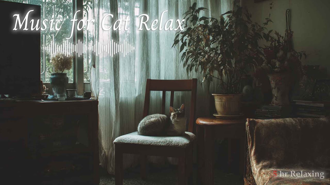 🐱 5 Hours Cat Sleep Music 🐾 Cozy Cat Fireplace for Relaxation & Comfort ...