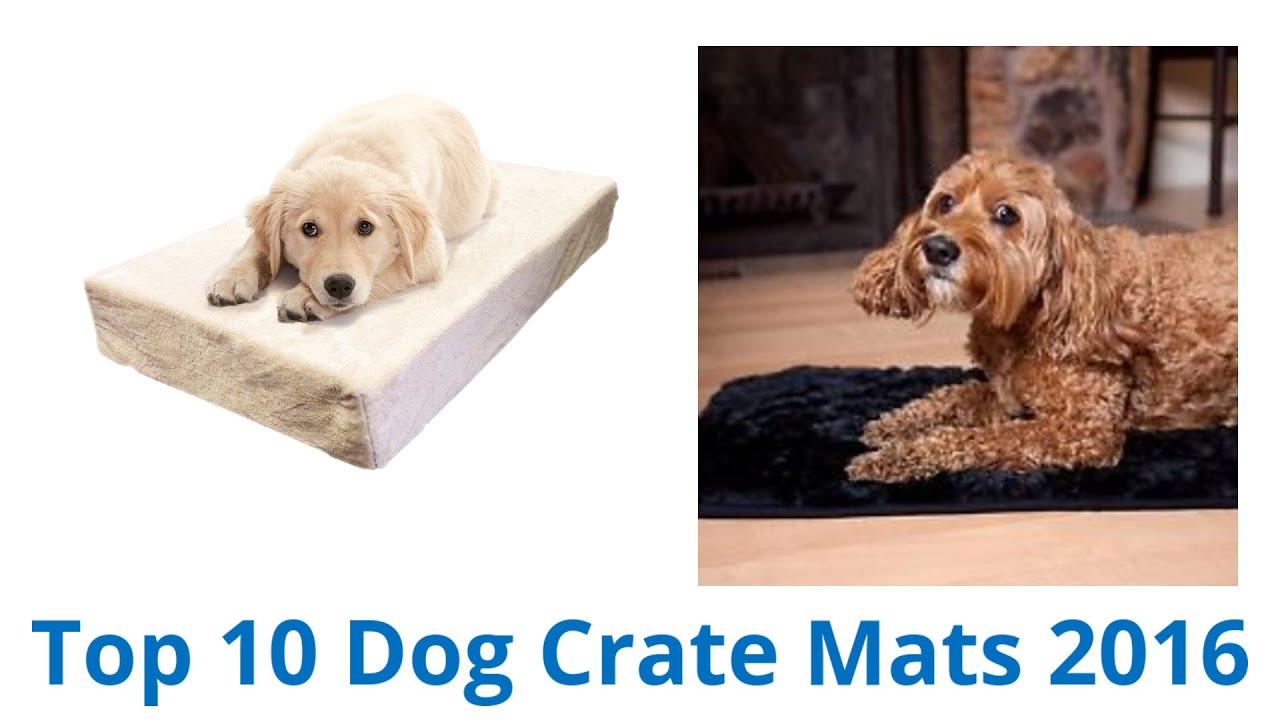 10 Best Dog Crate Mats 2016 - YouTube