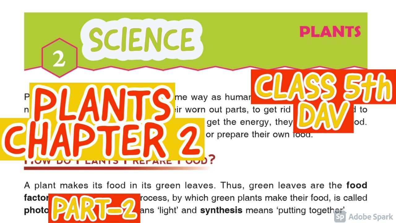 PLANTS CHAPTER 2 DAV CLASS 5 SCIENCE PART 2 YouTube plants-chapter-2-dav-class-5-science-part-2-youtube