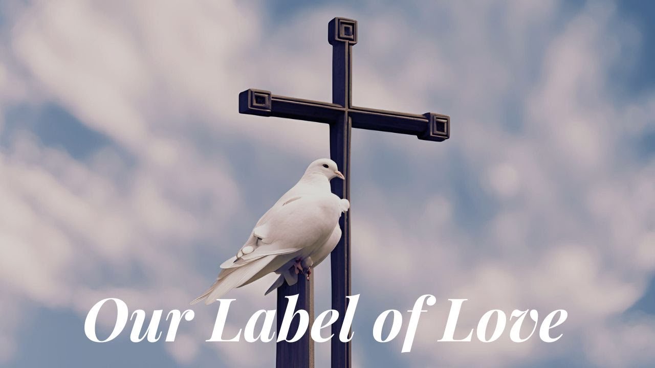 Our Label of Love - YouTube