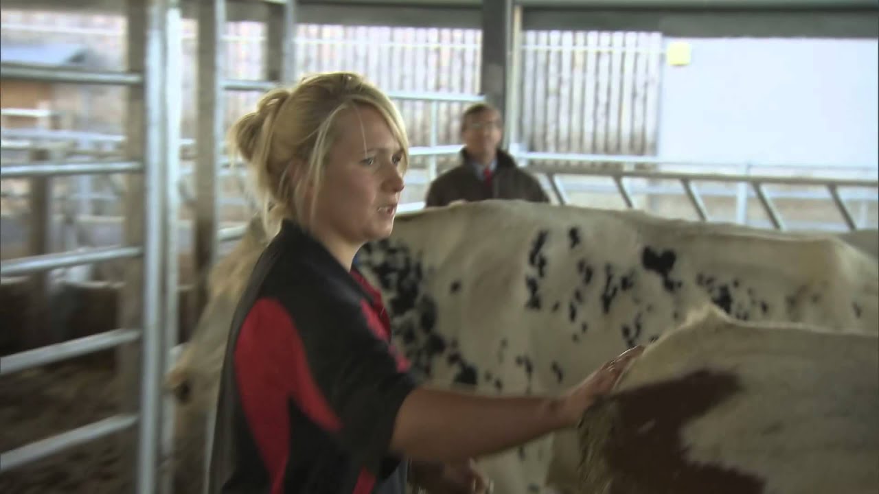 Stori Gwenno - Fferm Ffactor 2013 - YouTube