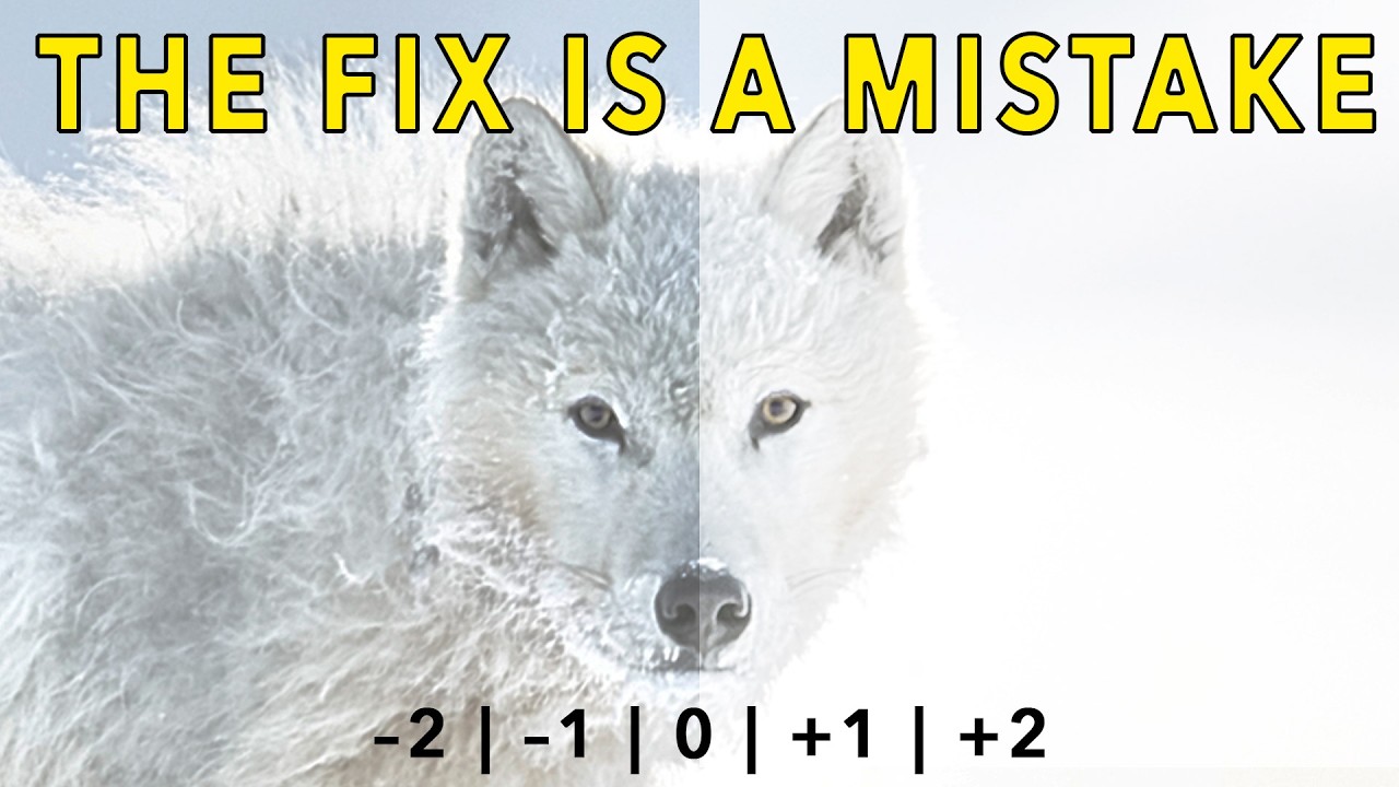 Stop Avoiding Mistakes – They’re the Only Way to Master Photography ...