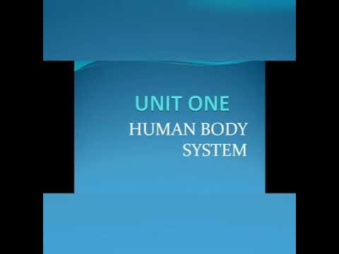 Science Grade 5 Human Body System part 1 - YouTube
