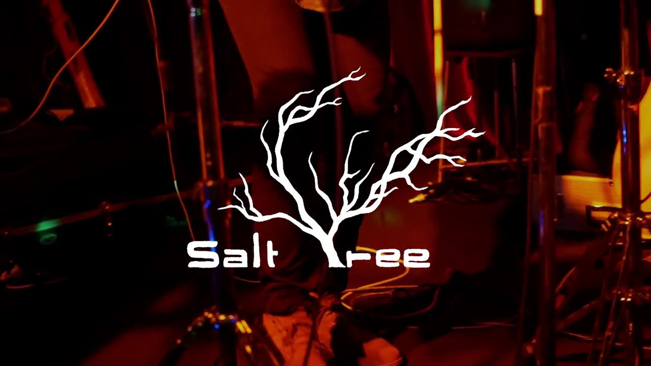 Salt Tree - Hit the Road Jack - YouTube