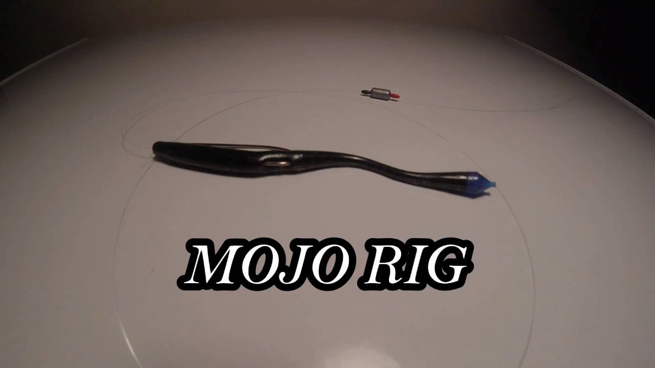 How to setup the Mojo Rig (Easy and Effective) - YouTube