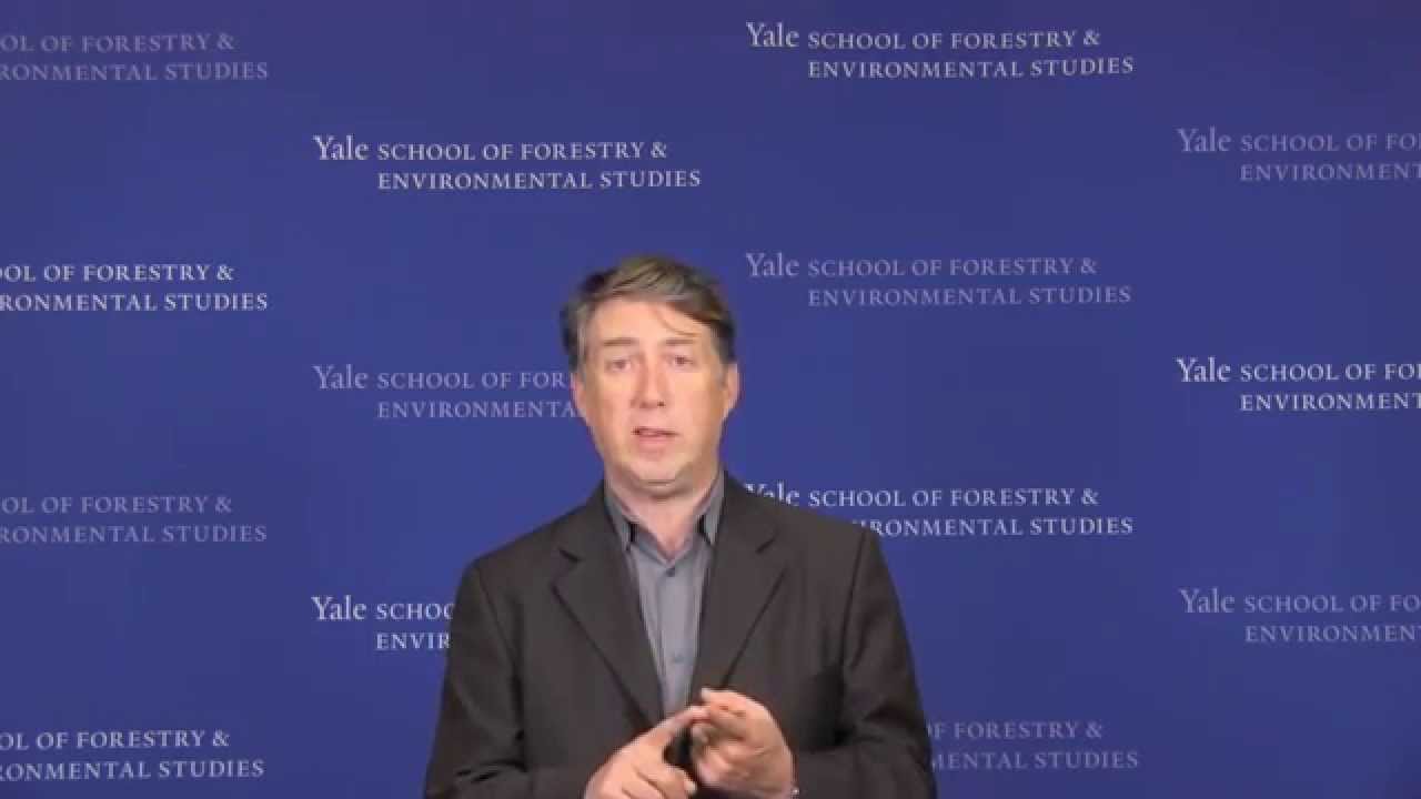 Paul Anastas-Green Chemistry and Chemical Stewardship Online ...