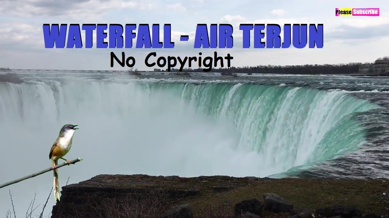 Background KICAU BURUNG DI AIR TERJUN/WATERFALL - No Copyright - YouTube