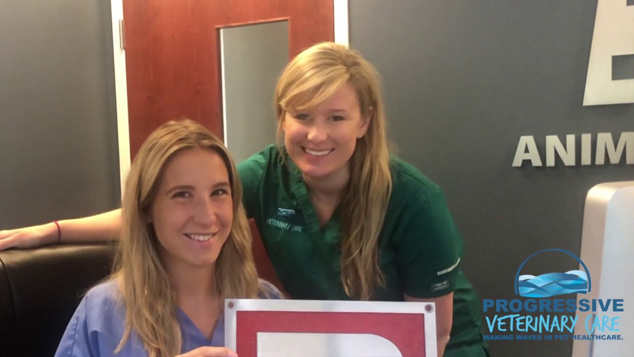 Proud to be AAHA Accredited Again and Again! - YouTube