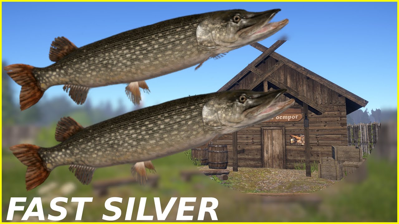 Spin Fast Pike cafe - Szczupak Old Burg | Russian Fishing 4 rf4 spot ...