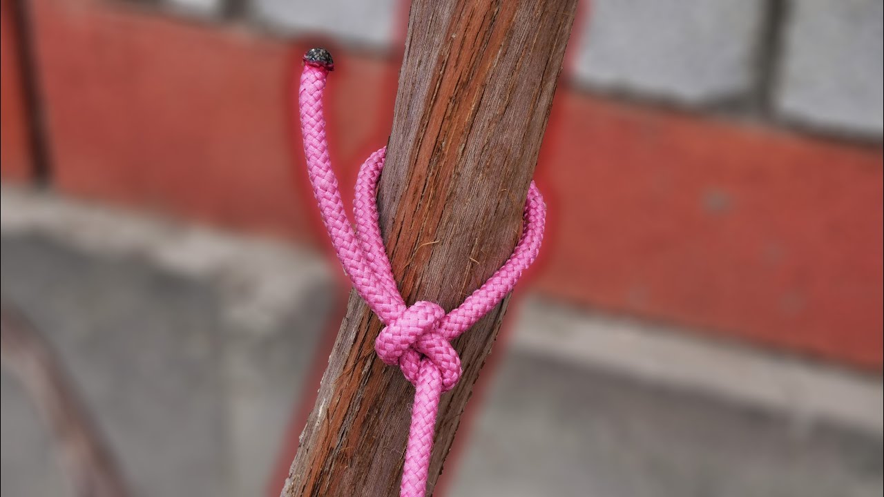 "World's MOST DANGEROUS Knot!?" ..or the most USEFUL? #knot #rope - YouTube
