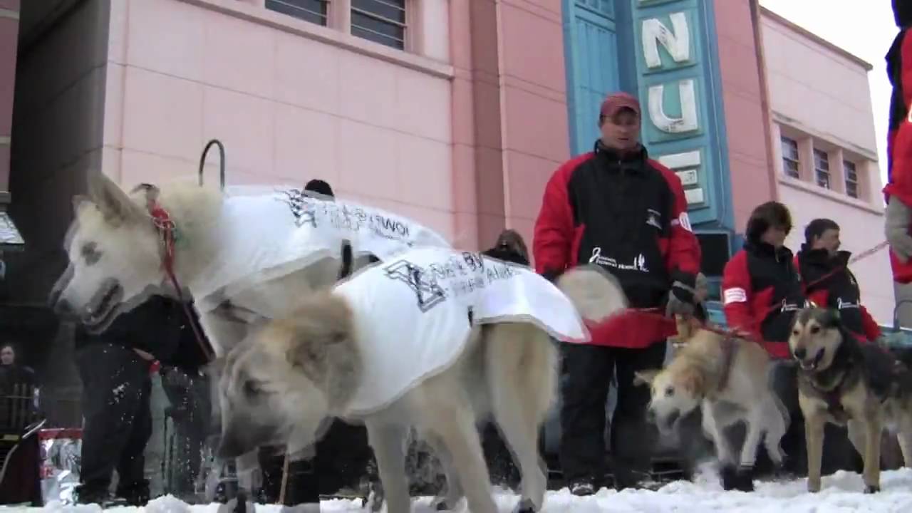 2010 Iditarod ceremonial start - YouTube
