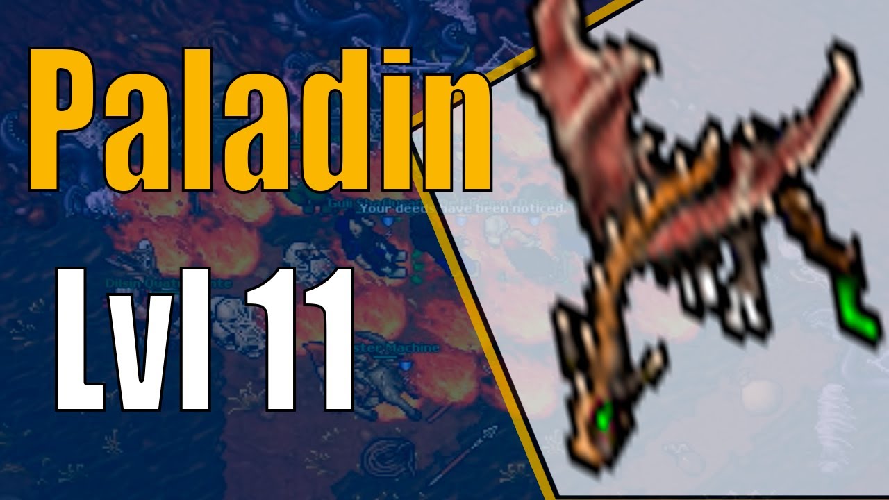 RP 11 Vs Wyvern - Tibia Battle #1 - YouTube