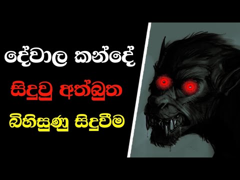 Holman katha 09|දේවාල කන්දේ සිදුවු අත්බුත සිදුවීම|හොල්මන් කතා 09 ...