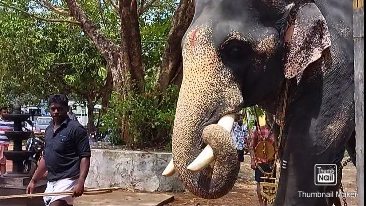 Ambadi balanarayanan lll അമ്പാടിബാലനാരായണൻ & സുനിച്ചേട്ടനും... - YouTube
