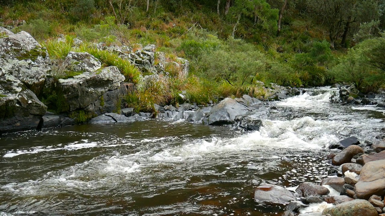 2 Hours at the stream in Ebor, NSW, Australia (May 2018) - YouTube