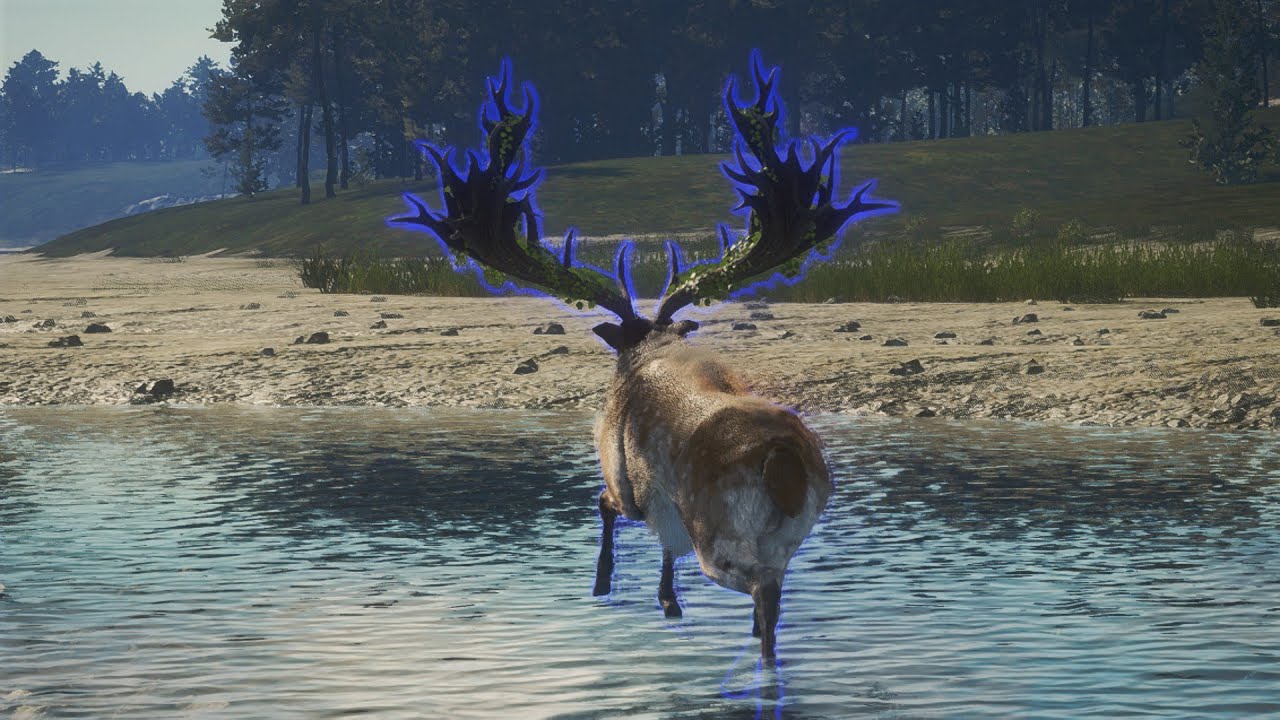 LIVE: RED Deer GREAT ONE grind All Set uP in TE AWAROA MAP | theHunter ...