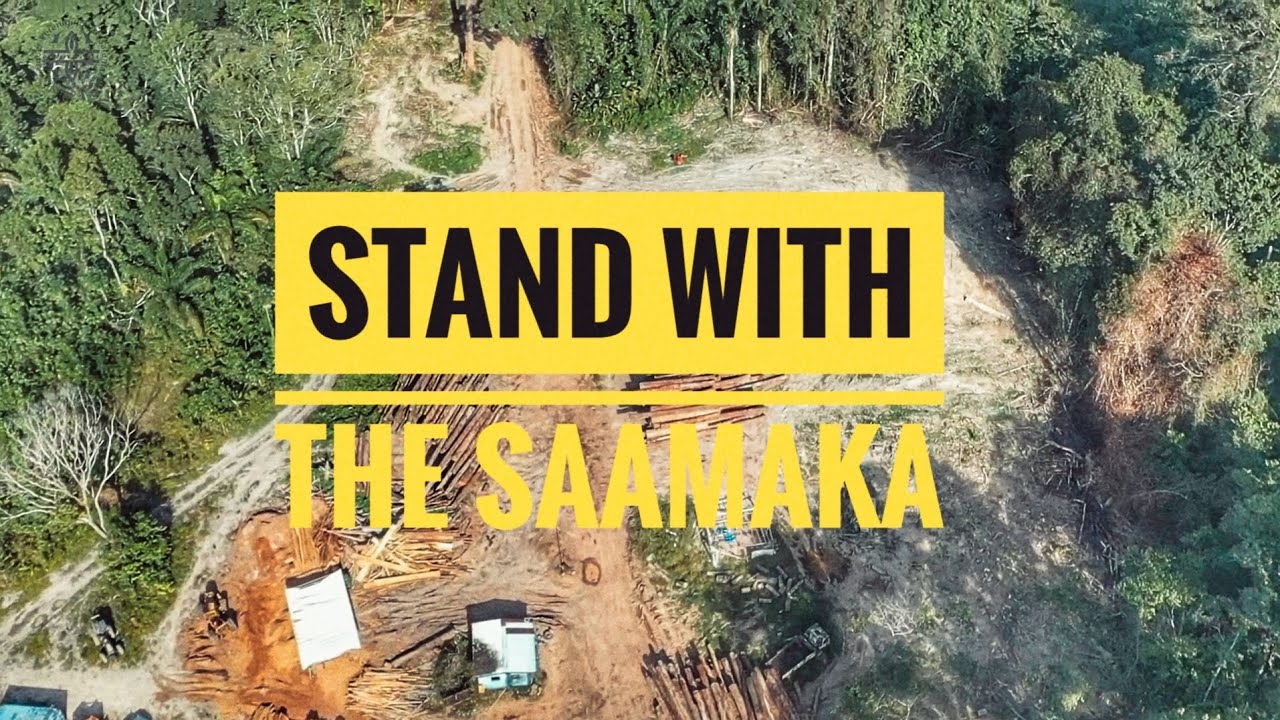 Help us the Saamaka to preserve our ancestral rights to the amazon ...