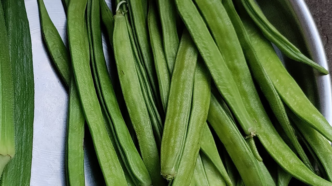 கொத்தவரங்காய்/சீனி அவரைக்காய்/ kothavarangai/Cluster beans/how to grow ...