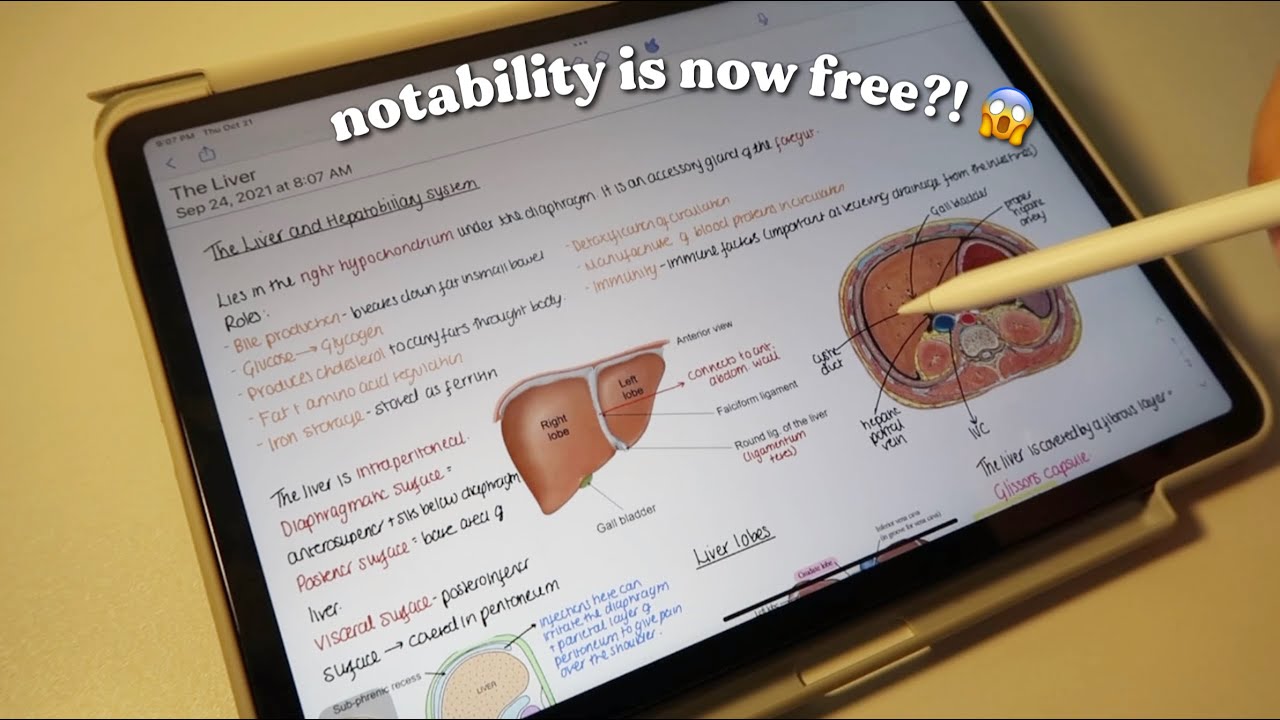 NOTABILITY IS NOW FREE new Update YouTube notability-is-now-free-new-update-youtube
