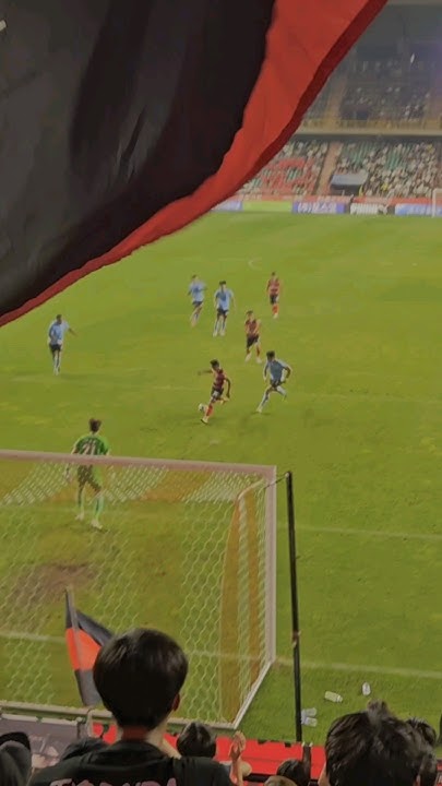 k리그1/28R/스틸야드/포항vs대구 *백성동 동점골!(득점순간) - YouTube