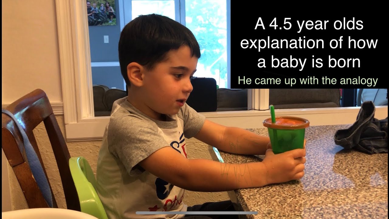 Finally Explained by Toddler- How a baby is born - YouTube