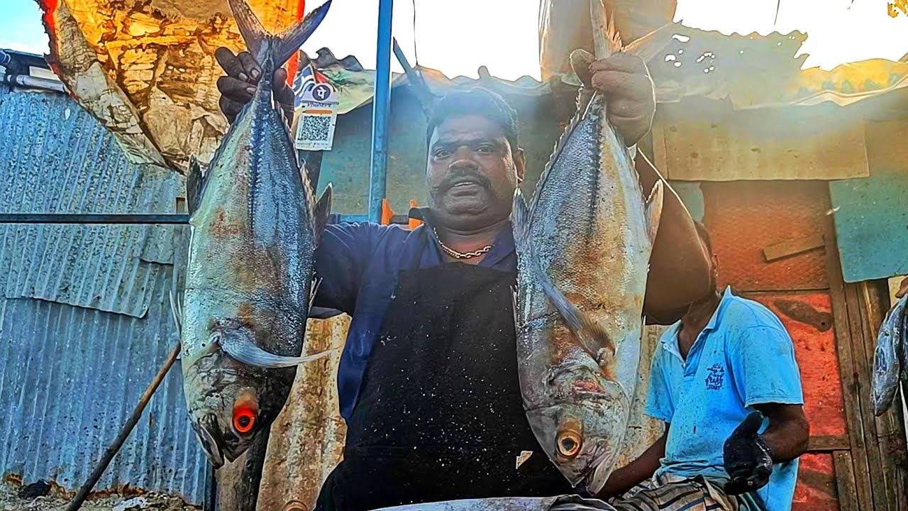 KASIMEDU 🔥 SELVAM| TREVALLY PARAI FISH CUTTING|IN KASIMEDU | HD VIDEO ...