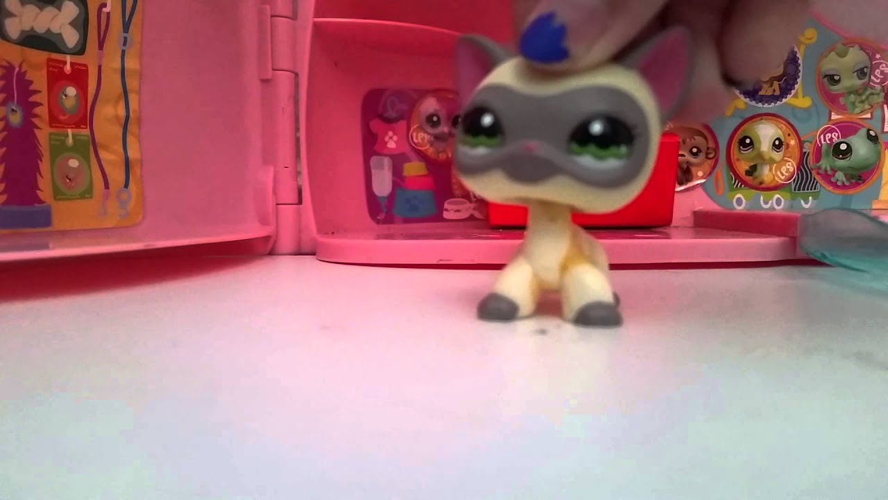 All my rare LPS - YouTube