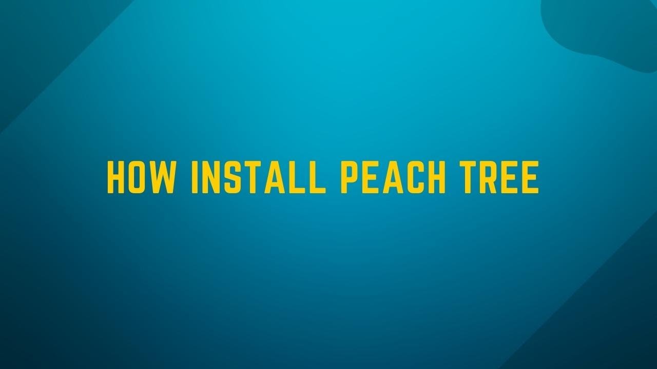 How Install Peach Tree Software - YouTube
