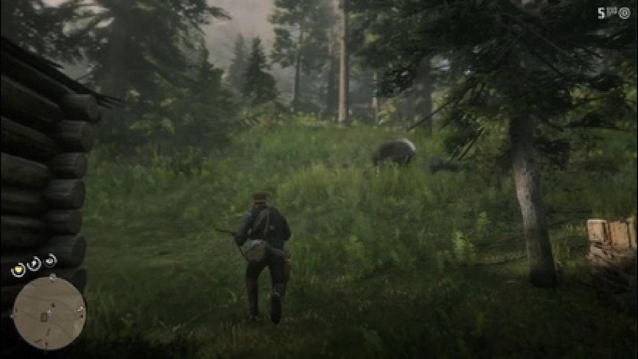 Red Dead Redemption 2 JOHN FINDS A CABIN WHERE THE GRIZZLY BEAR IS ...