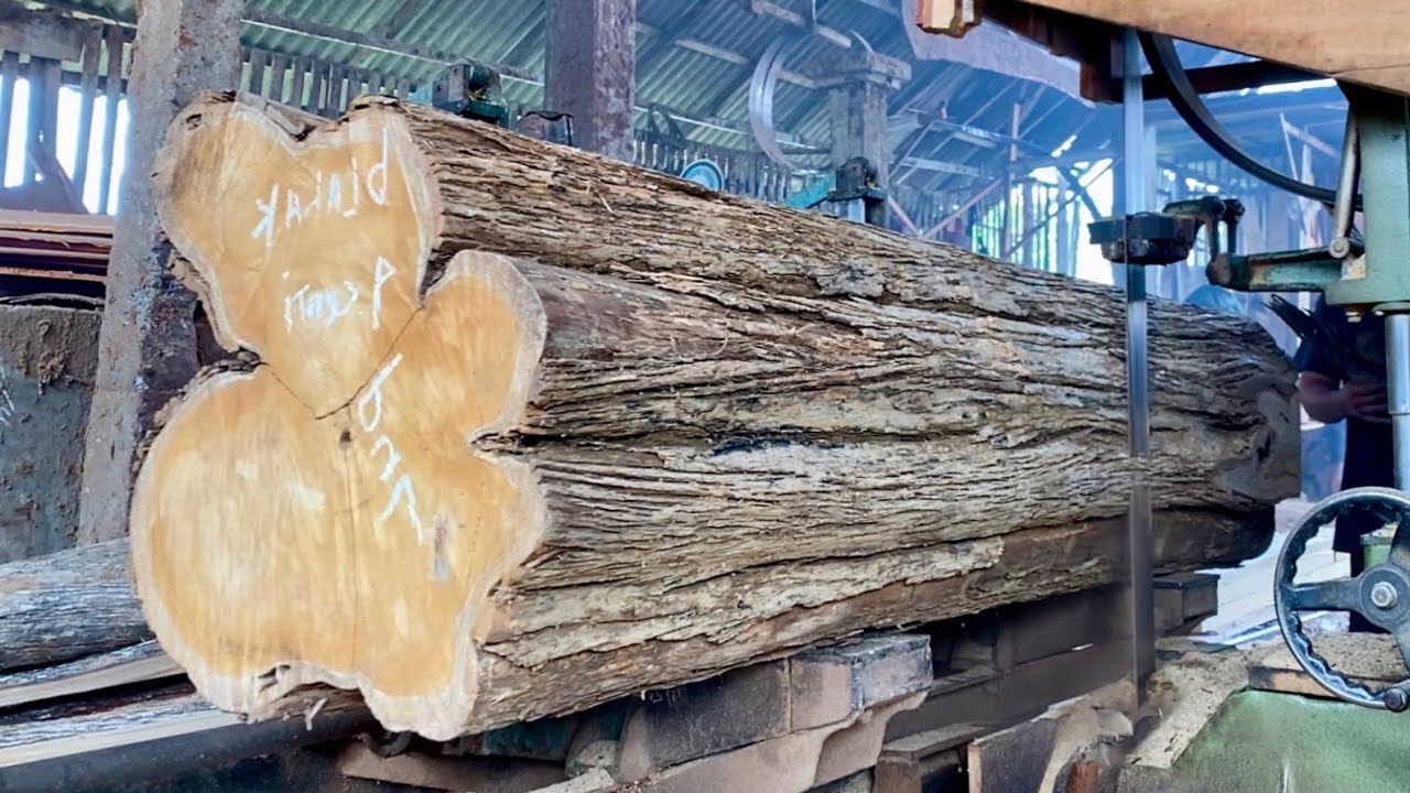 Extraordinary !! Skills in cutting this quality teak wood - YouTube